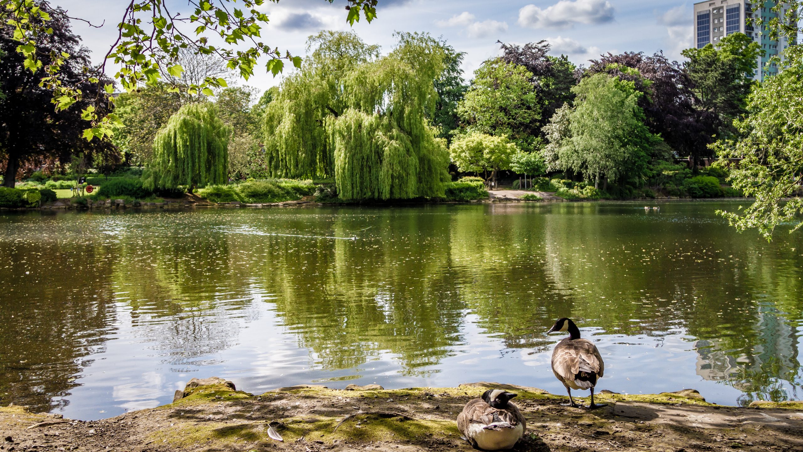 Become a Foster Carer in Walsall| New Life Fostering Agency